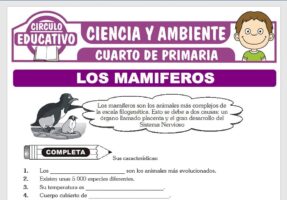 Los Mamíferos para Cuarto de Primaria – Fichas GRATIS