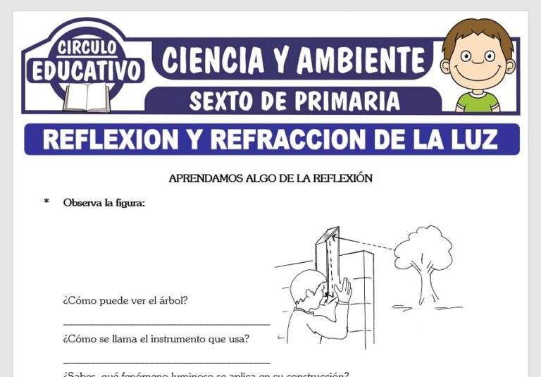 Reflexión y Refracción de la Luz para Sexto de Primaria – Fichas GRATIS